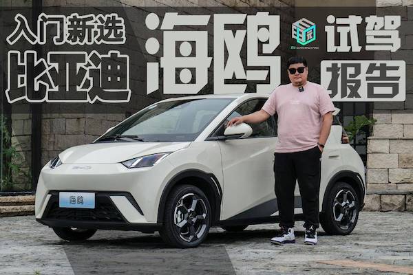 China wholesales Full Year 2024: BYD above 3.5 million sales, domestic ...