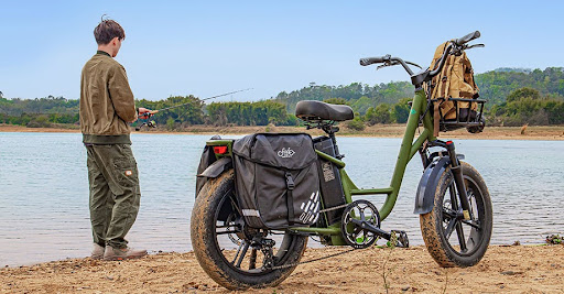 Media post: How to Choose a Fiido Fat Tire Electric Bike? – Best ...